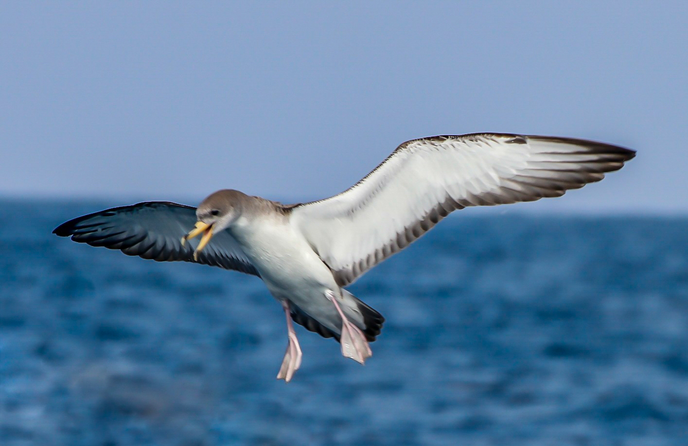 PICCOLI DETTAGLI E SFUMATURE VAGHE: QUANDO UNA BUONA OTTICA CONTA ...